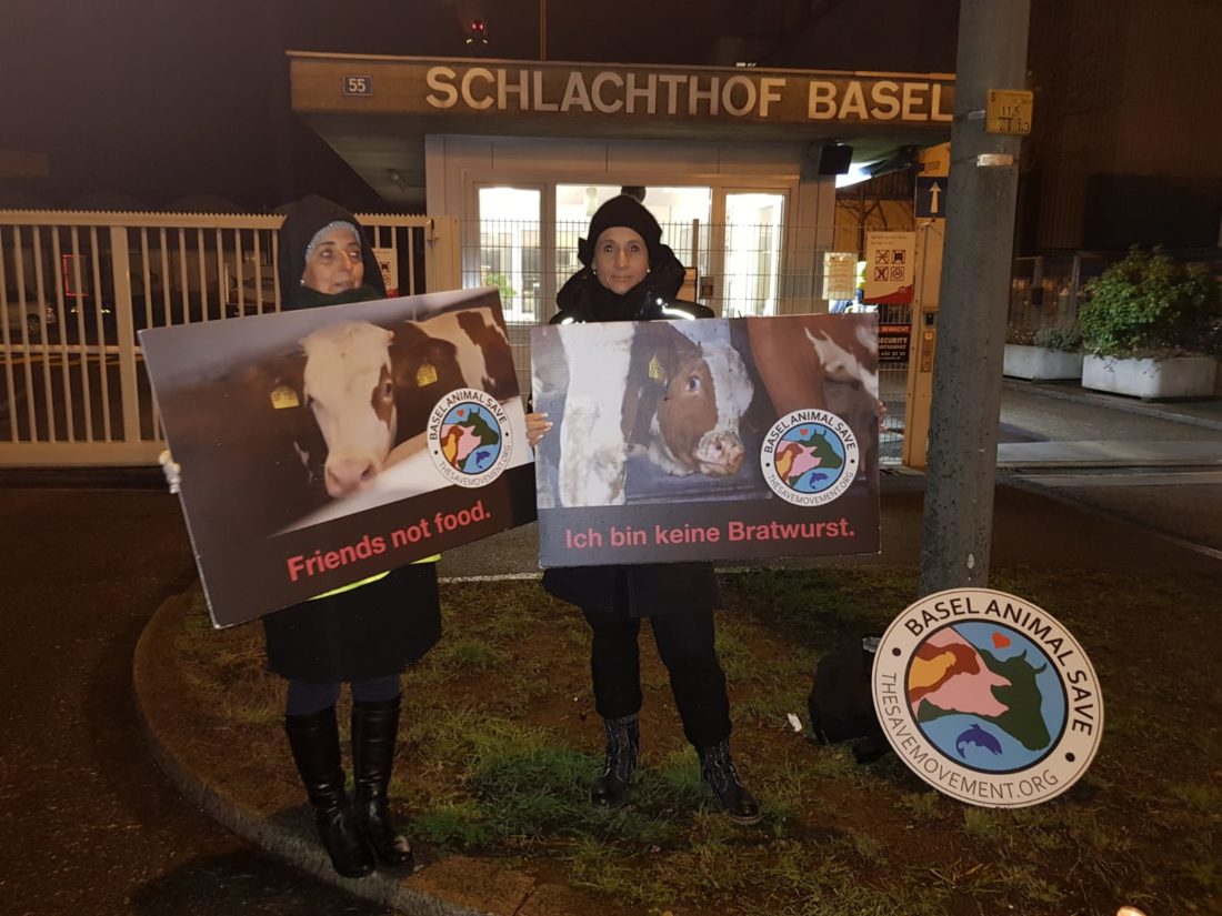 Basel Animal Save Mahnwache | Tierschutzbund