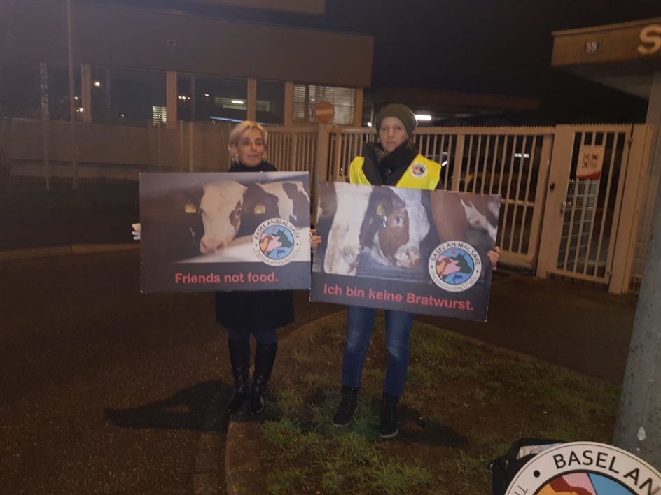 Basel Animal Save Mahnwache | Tierschutzbund